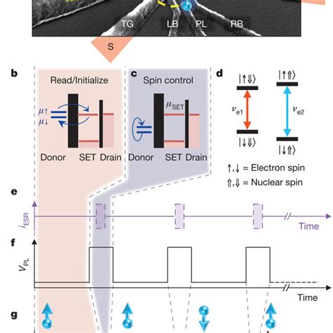 Pdf A Single Atom Electron Spin Qubit In Silicon