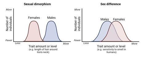 112 Understanding Sexual Reproduction And Sexual Dimorphism Social