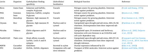 Overview Of Vacuolar Nucleocytoplasmic And Vascular Lectins With Their Download Scientific