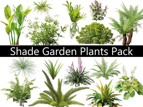 Unreal Engine Plants 3d Model 3d Garden Plants