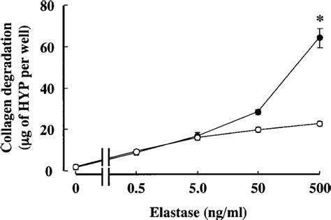 Effect Of Elastase On Collagen Degradation Collagen Gels Containing