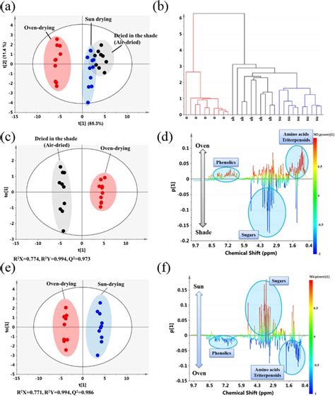 Multivariate Data Analysis Of The 1 H Nmr Data Obtained From Extracts Download Scientific