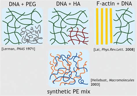 Polyelectrolyte Composite Hyaluronic Acid Mixture With Dna Macromolecules X Mol