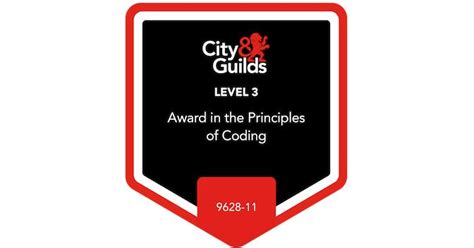 Level 3 Award In The Principles Of Coding 9628 11 Was Issued By City