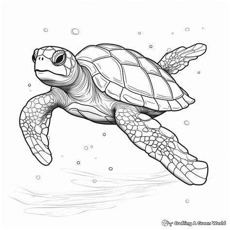 Realistic Sea Turtle Coloring Pages