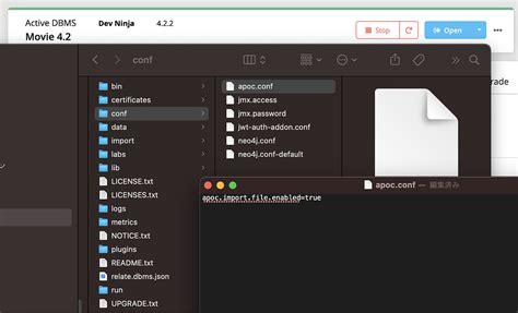 How To Set Apoc Import File Enable True Import Export Neo4j Online Community
