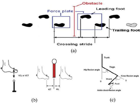 A Three Step Positions Were Defined As A Crossing Stride And Were
