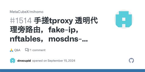 手搓tproxy 透明代理旁路由fake ipnftablesmosdns mihomo MetaCubeX mihomo Discussion GitHub