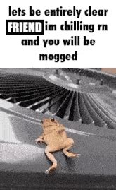 Mogged Meme Mogged Discover And Share S