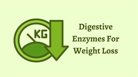 Digestive Enzymes For Weight Loss Are They Really Help