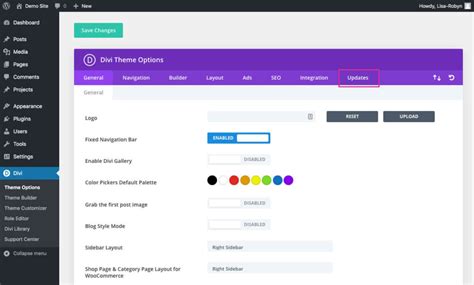 How To Install The Divi Theme On Your WordPress Website
