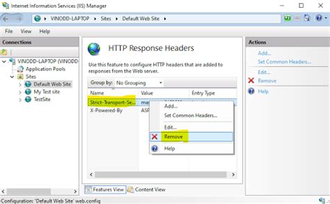 vinod danekar enabling hsts policy on iis in windows server