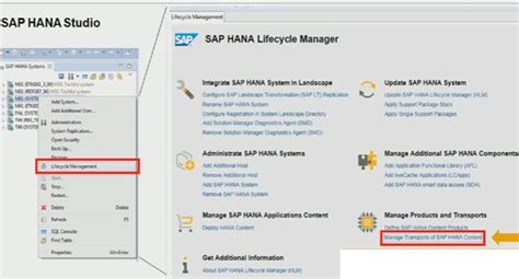 SAP HANA Application Lifecycle Manager