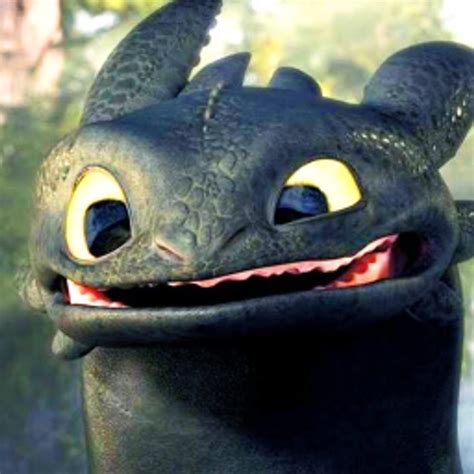 How To Train Your Dragon Toothless Smile 