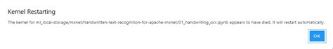 Kernal Dying · Issue 12 · Awslabshandwritten Text Recognition For