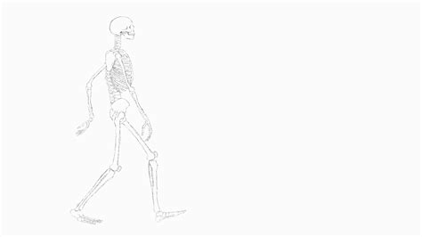 Skeleton Walking Behance
