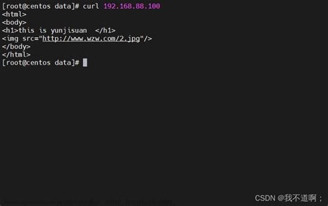 Nginx反向代理 负载均衡、webshell实践 Toy模板网