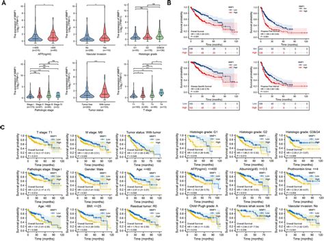 Clinical Correlation And Prognosis Analysis Of Mmp1 Expression In