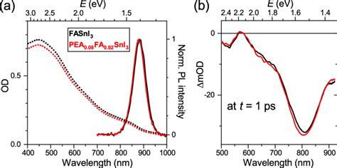 A Steady State Absorption Dotted Lines And Normalized Download