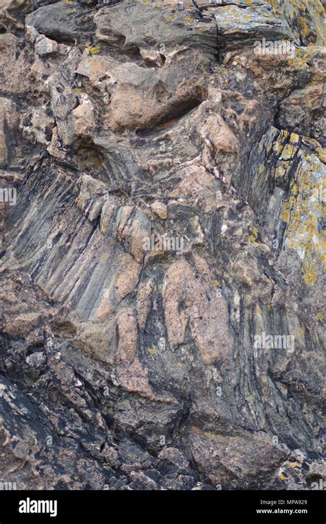 Migmatite Metamorphic Rock Natural Background Cove Bay Aberdeen