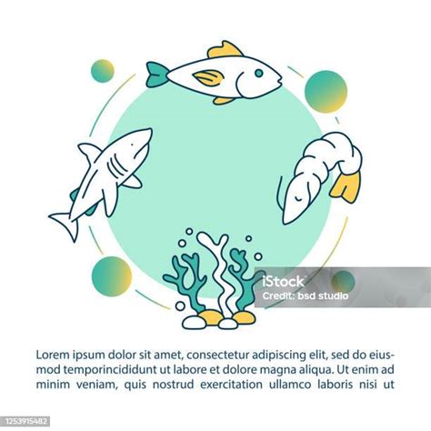 텍스트가 있는 수중 먹이 사슬 개념 아이콘입니다 해초 플랑크톤 물고기 생태 모델링 Ppt 페이지 벡터 템플릿입니다 브로셔 잡지 선형 일러스트가 있는 소책자 디자인 요소 먹이