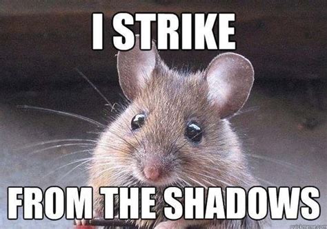 The 25 Funniest Mouse Memes Ranked