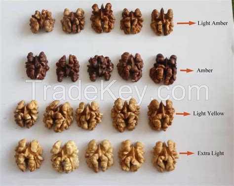 Haccp Certificate Chinese Xinjiang Raw Walnut Kernel Dry Butterflies