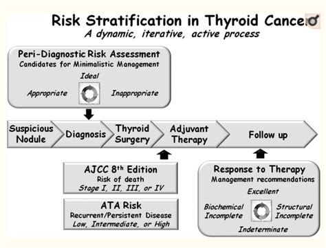 Risk Stratification In Differentiated Thyroid Cancer Rodrigo Arrangoiz Ms Md Facs Fsso