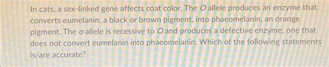 Solved In Cats A Sex Linked Gene Affects Coat Color The O
