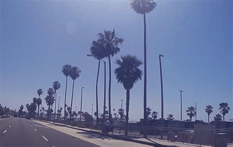 Los Angeles California Tumblr