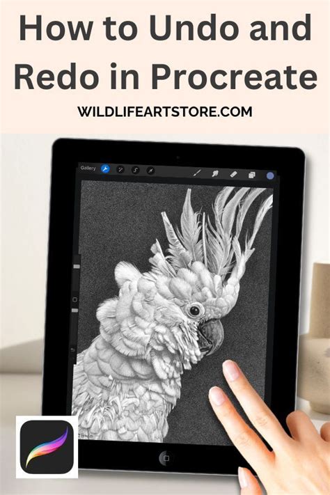 How To Undo In Procreate With Finger Gestures Basic Drawing Procreate Tutorial Procreate