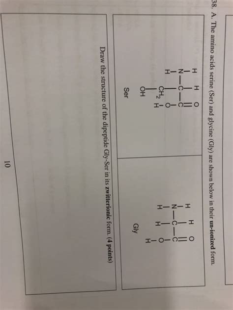 Solved 38 A The Amino Acids Serine Ser And Glycine Gly