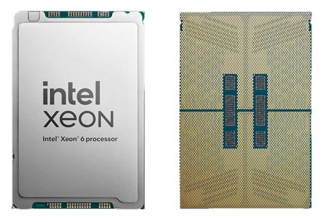 Intel Debuts Xeon 6 Cpus With Up To 128 P Cores Powering Nvidia Dgx