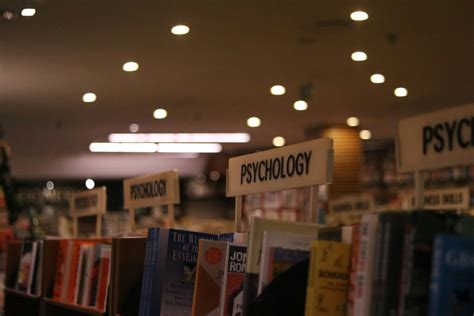 unveiling the core concept levels of processing theory explained