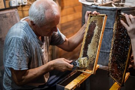 Premium Photo Beekeeper Uncapping Honey Cells On The Frames With A