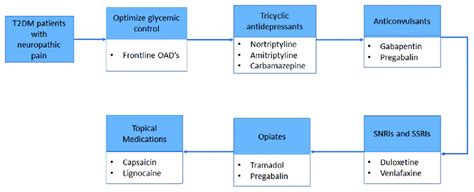 management algorithm for neuropathy oads oral antidiabetics snris