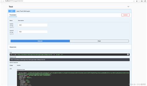 Net Core Webapi集成jwt实现身份认证netcore 自定义身份认证 Jwt认证 Csdn博客