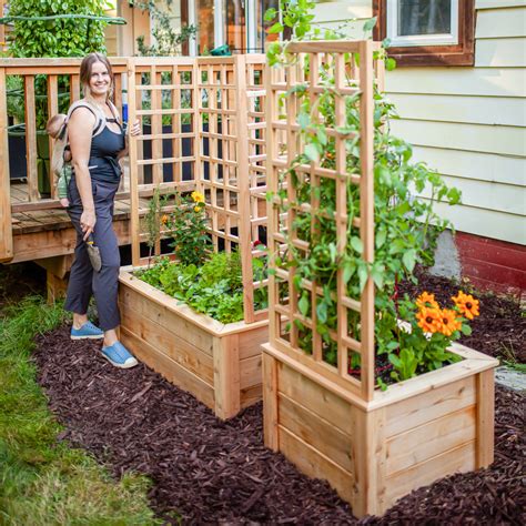 Raised Bed Garden Trellis Plans Garden Trellis Idea Deb And Danelle