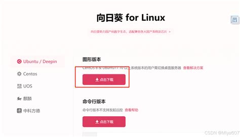 ubuntu20 04 安装向日葵，简单两步 xiangrikui ubuntu csdn博客