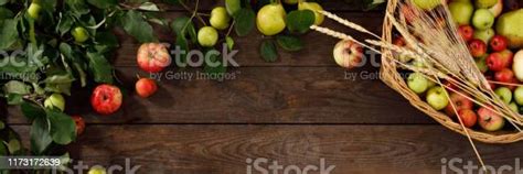 가을 과일 사과와 배 나무 배경의 프레임입니다 공간을 복사합니다 수확 개념입니다 사과에 대한 스톡 사진 및 기타 이미지 사과