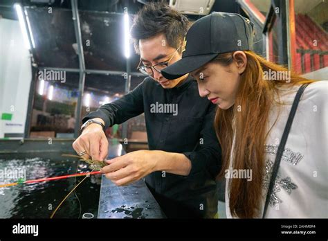 Male And Female Prawn Couple Hi Res Stock Photography And Images Alamy