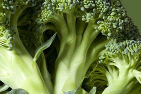 Vegetables High In Protein