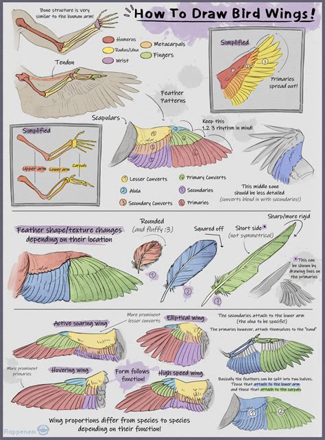 Bird Wing Tutorial By Rappenem On Newgrounds