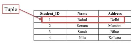 what is database ~ computer languages clcoding