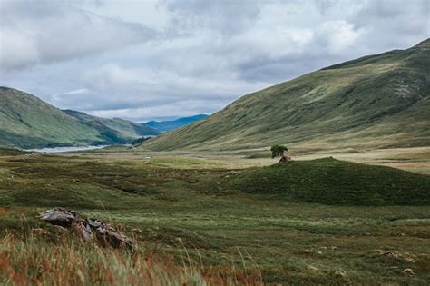 스카이 섬 스코틀랜드 영국에서 흐린 날에 언덕과 나무의 풍경 0명에 대한 스톡 사진 및 기타 이미지 0명 경관 관광 Istock