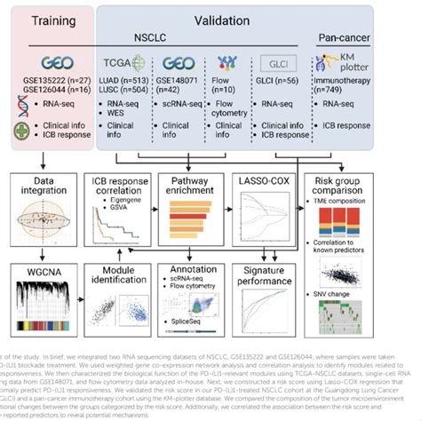 Wgcna Analysis And Identification Of Key Modules Related To Icb