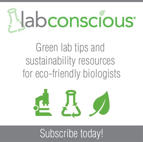 Proven Tips For Pcr Primer Design Neb