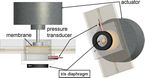 Colour Online Apparatus With A Nozzle Of Variable Diameter Used To
