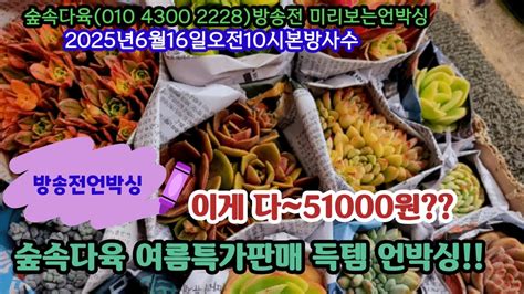한박스 언박싱 숲속다육에서 초특가 득템 2025년 6월 16일오전9시본방사수초보다육다육쇼핑 Youtube