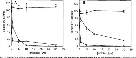 Figure 5 From The Fibronectin Binding Mscramm Fnbpa Ofstaphylococcus